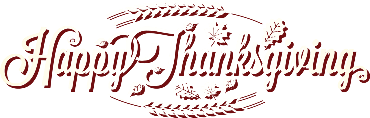 Thanksgiving Holiday Special Demo Offer From Dimensional Insight
